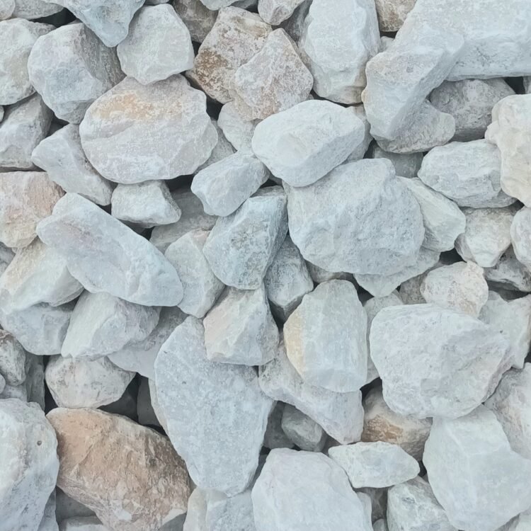 ΒΟΤΣΑΛΑ ΨΗΦΙΔΕΣ Archives